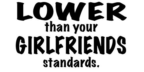 Lower than your girlfriend's standard! Vinyl Sticker – Acetorque Car ...